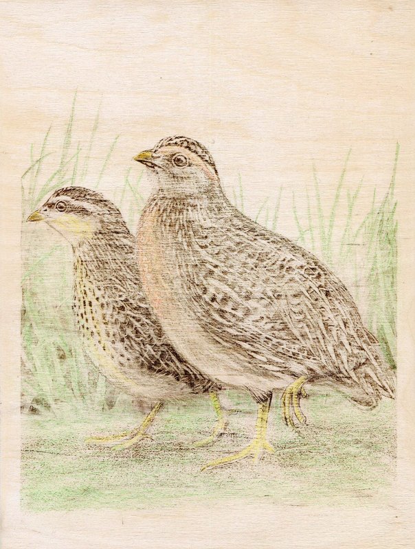 img299.jpg - ФОРУМ О СТАНКАХ CNC 3018